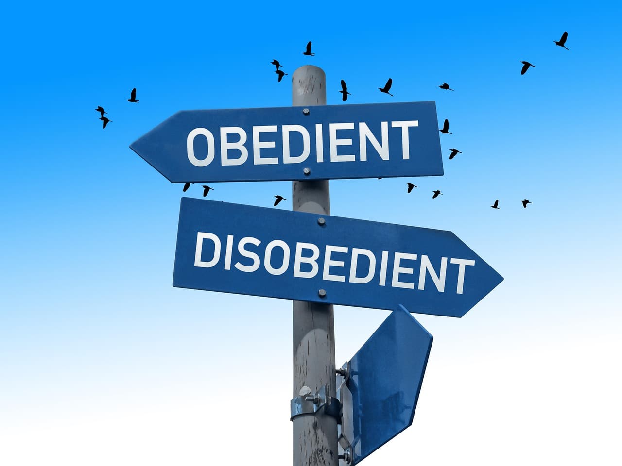 Obedience: Outward Flow of New Birth